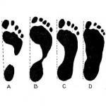 Find Your Foot Shape to Get the Best Fit in Shoes | Ask The Shoe Lady